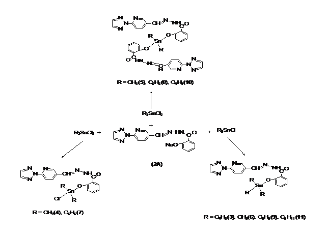 Antimicrobial Activities, Characterization and Synthesis of Organotin ...